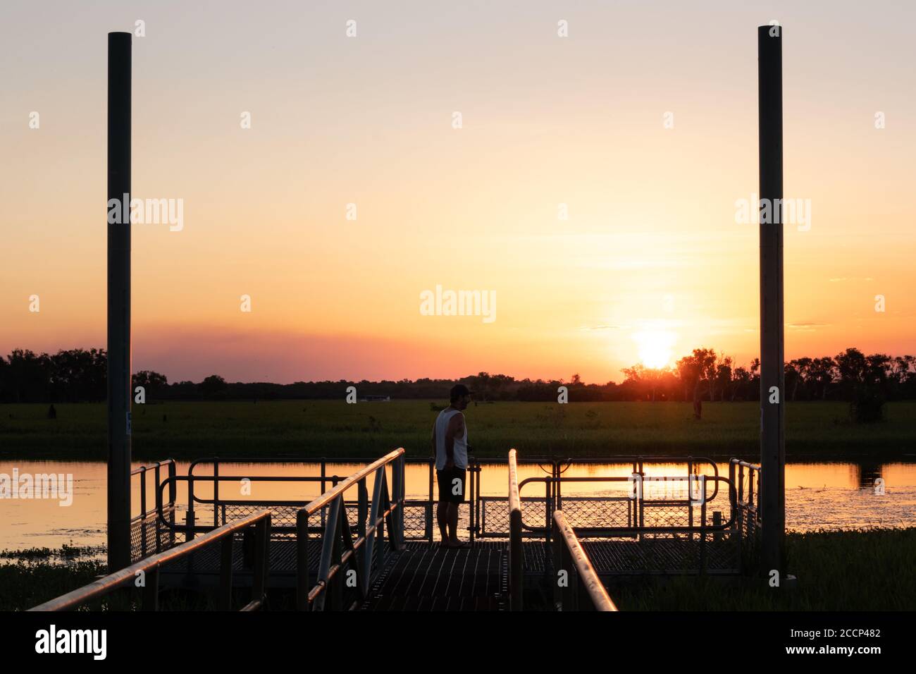 Platform habitat hi-res stock photography and images - Alamy