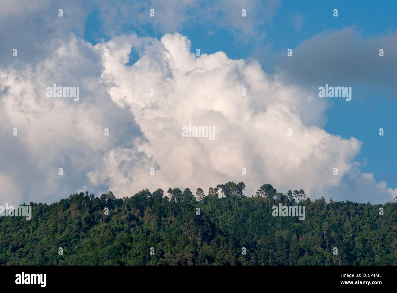Aerial view of dense tropical cloud forest in Central America ...