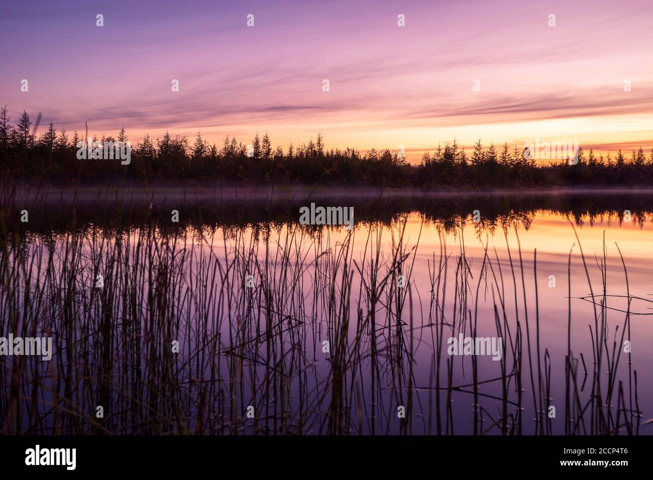 A glorious sunset. Artistic depiction of a dramatic sunset over the sea ...