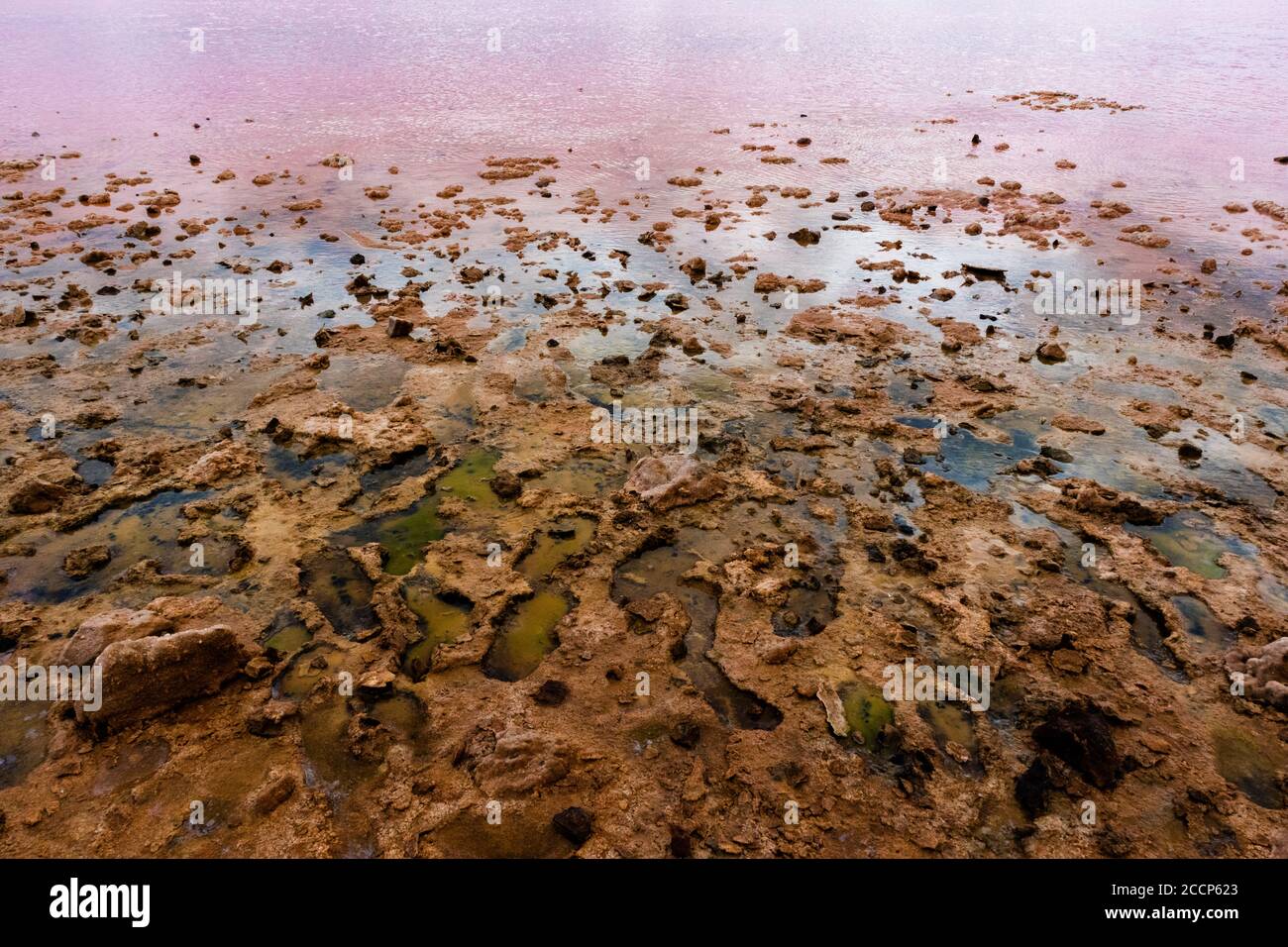 Pink lake pictured from above. Stone and water textures. Closeup ...