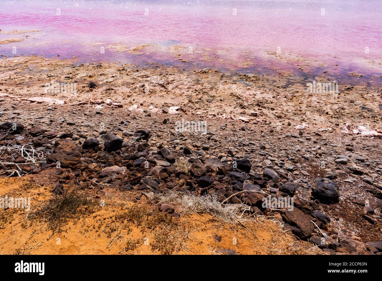 Pink lake, textures pictured from above. Sand, rocks, stones, pink ...