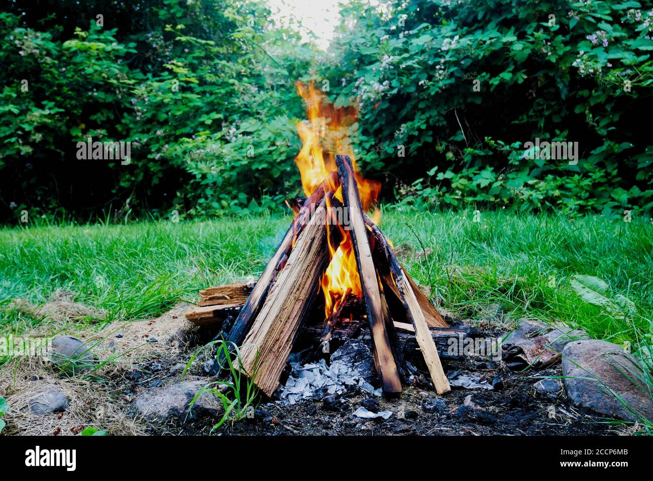 Campfire in green garden with grass and trees in background Stock Photo ...