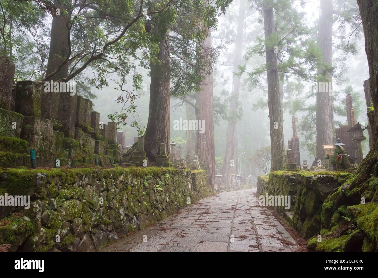 Wakayama, Japan - Okunoin Cemetery in Koya, Wakayama, Japan. Mount Koya ...