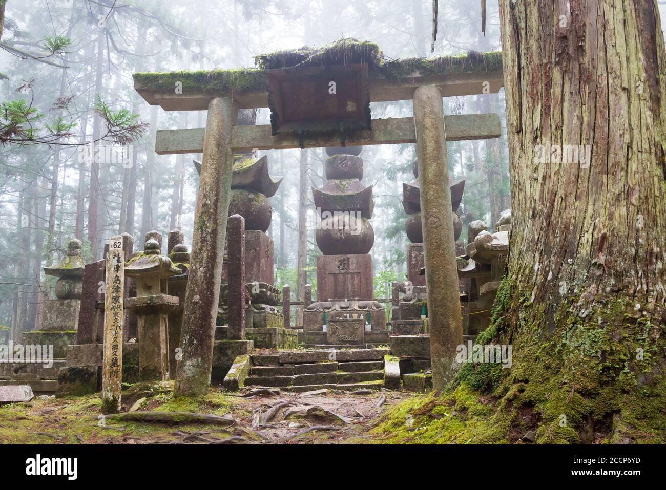 Mount koya temple koyasan cemetery hi-res stock photography and images ...