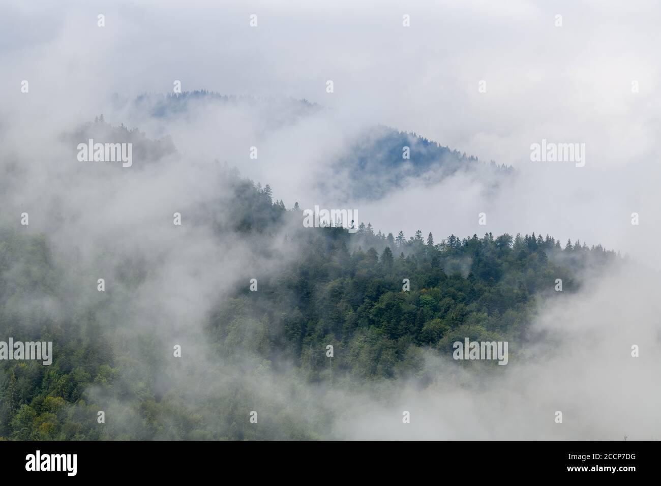 Majestic view on beautiful fog and cloud mountains in mist landscape. Summer time after rain ...