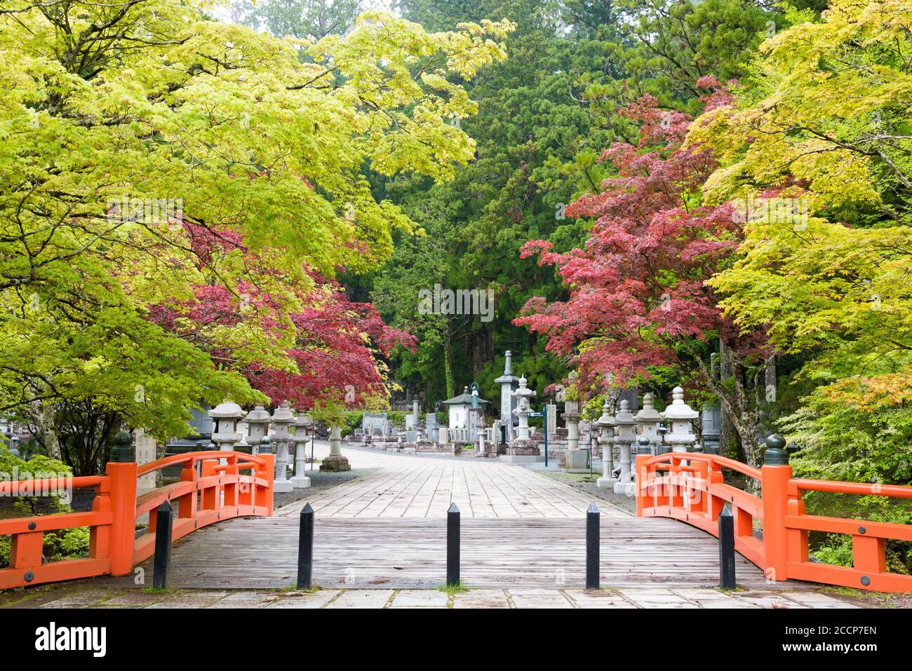 Okunoin Cemetery in Koya, Wakayama, Japan. Mount Koya is UNESCO World ...