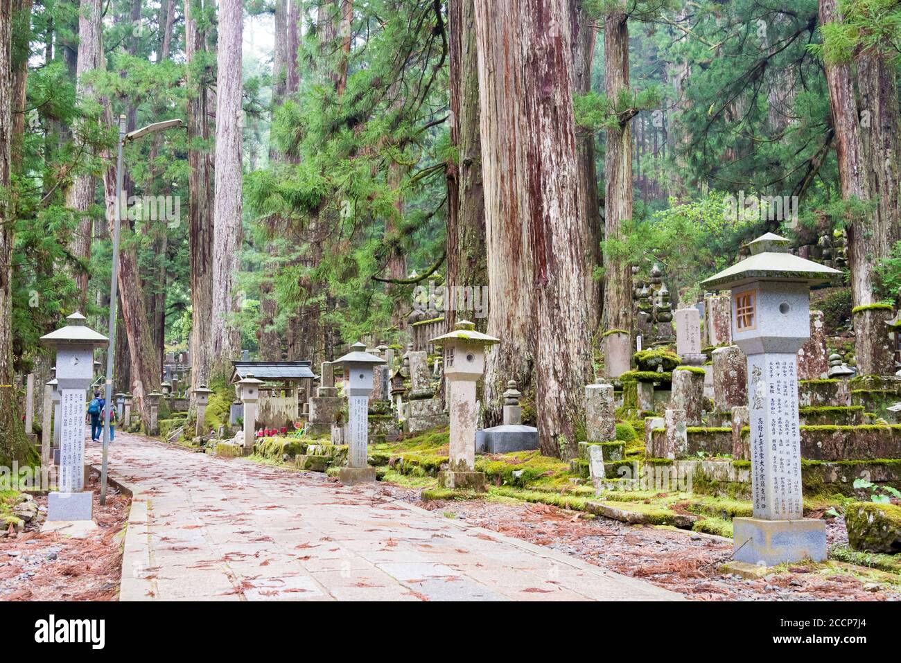 Okunoin Cemetery in Koya, Wakayama, Japan. Mount Koya is UNESCO World ...