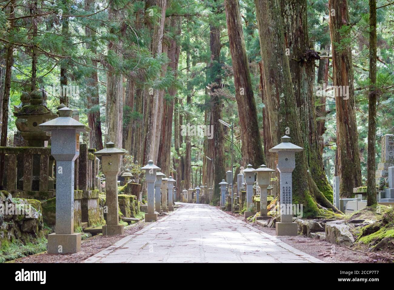 Wakayama, Japan - Okunoin Cemetery at Mount Koya in Koya, Wakayama ...