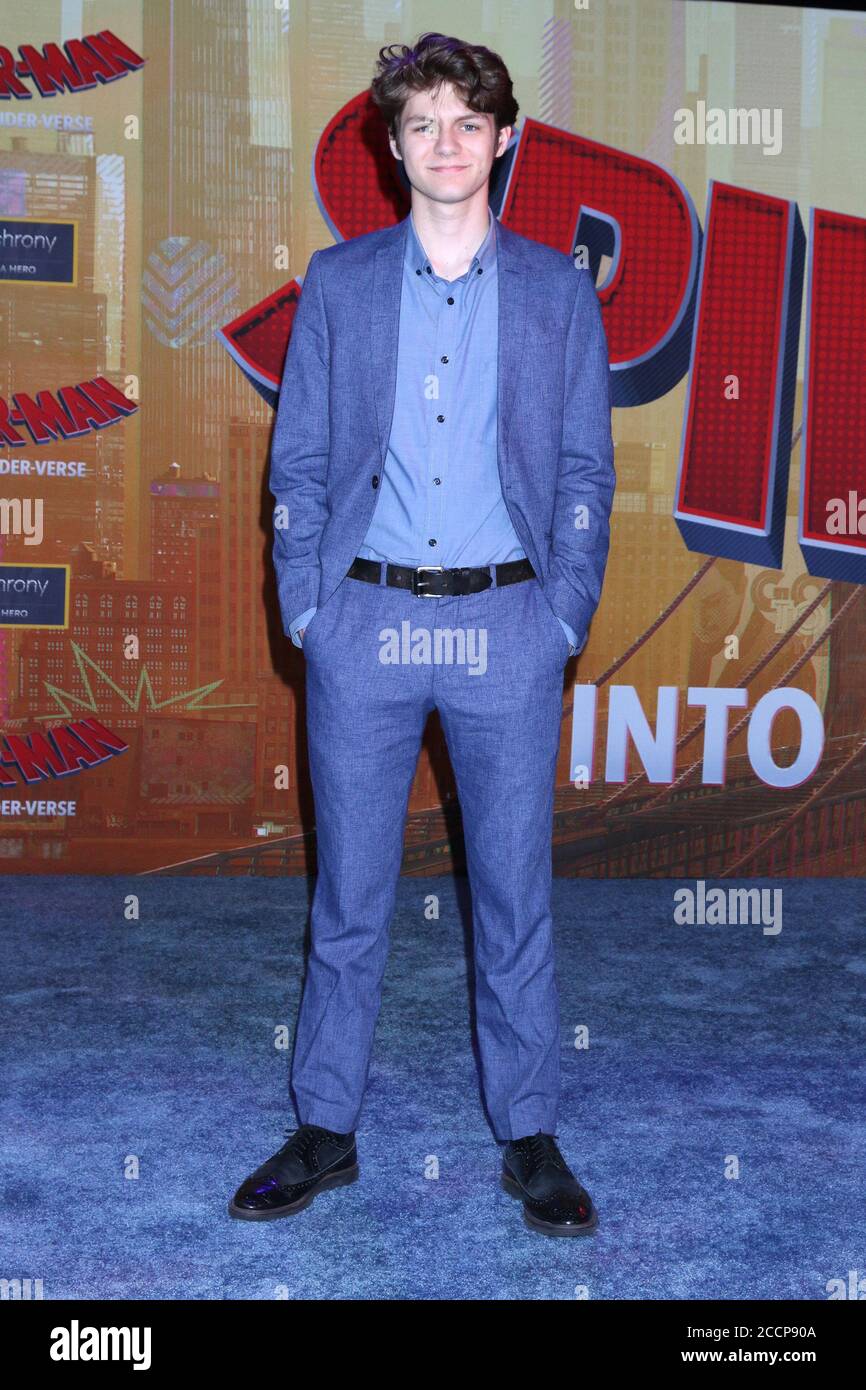 LOS ANGELES - DEC 1: Ty Simpkins at the Spider-Man: Into the Spider ...