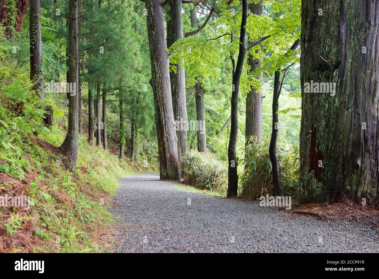 Wakayama, Japan - Koyasan Pilgrimage Routes - Nyonin-michi Pilgrimage ...