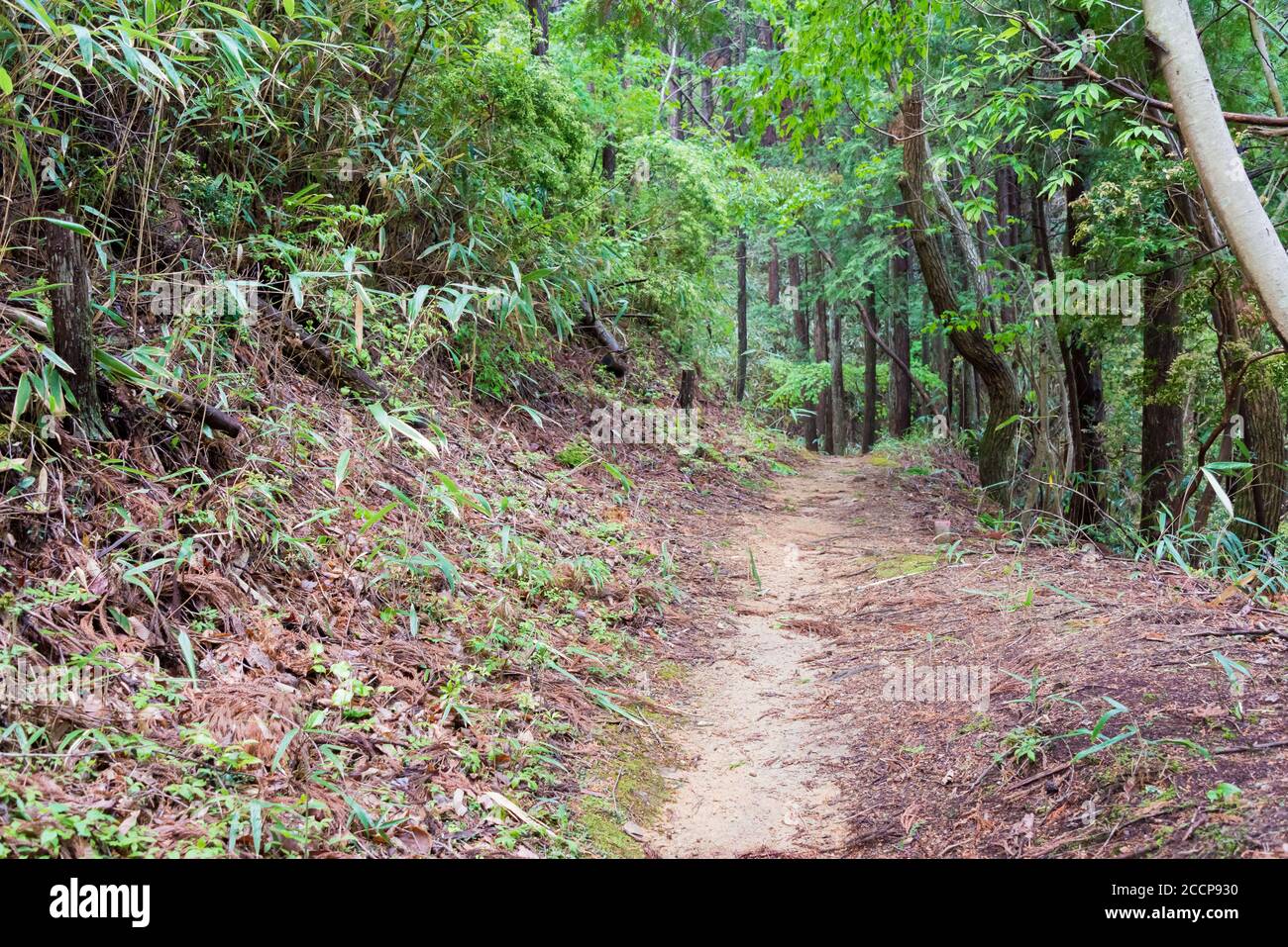 Wakayama, Japan - Koyasan Pilgrimage Routes - Nyonin-michi Pilgrimage ...