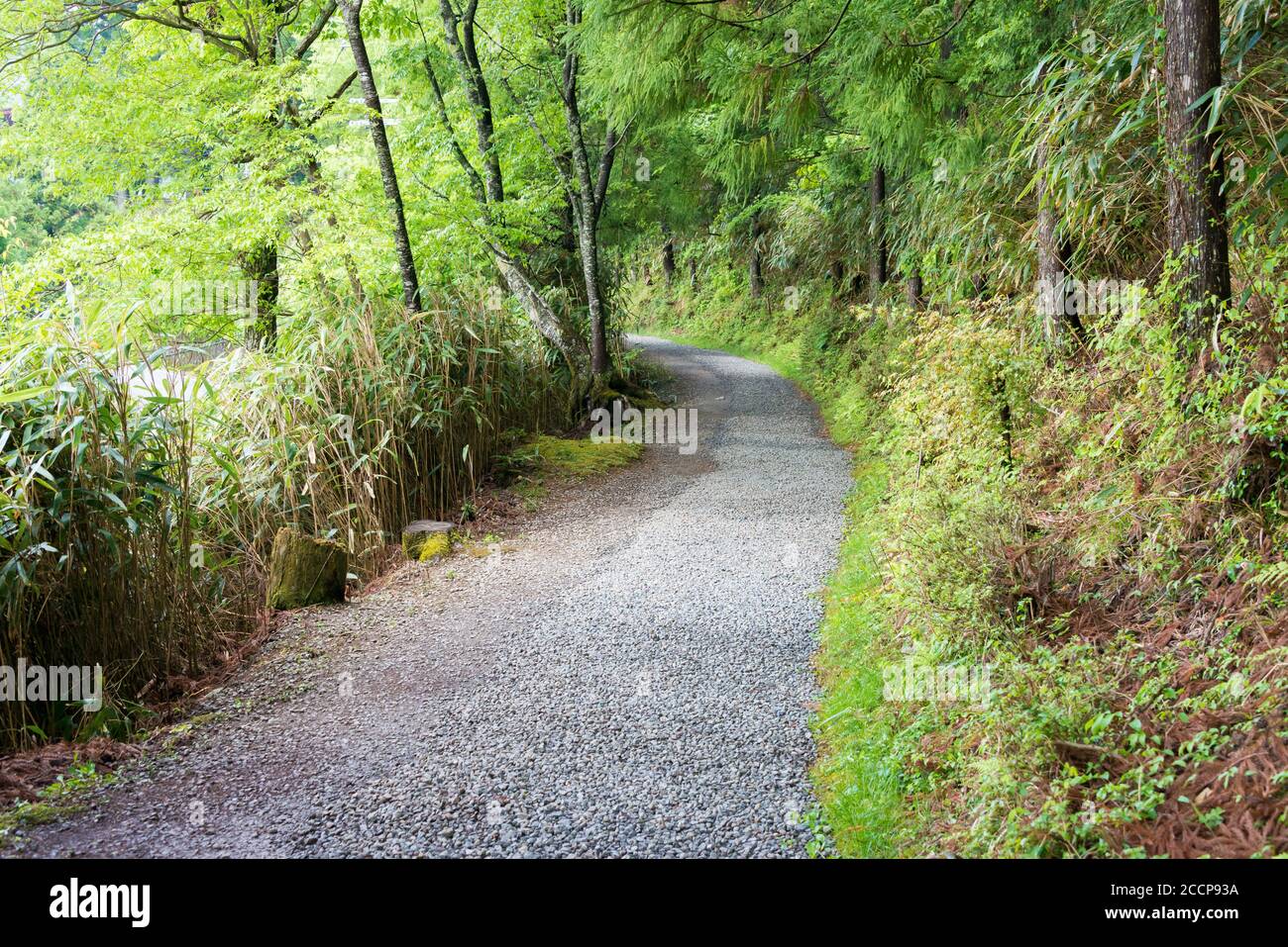 Wakayama, Japan - Koyasan Pilgrimage Routes - Nyonin-michi Pilgrimage ...