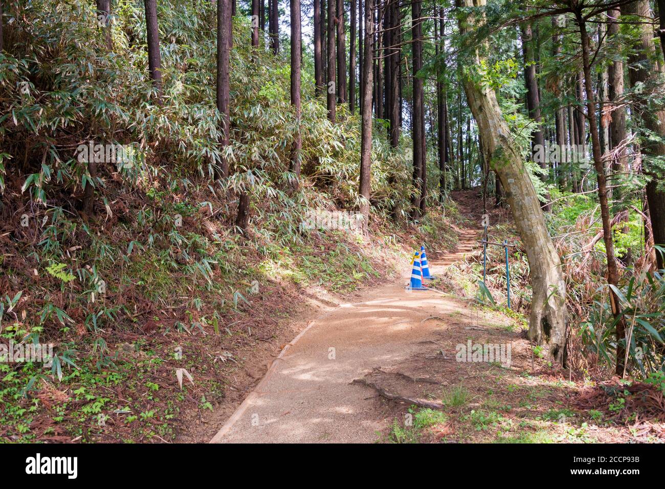 Wakayama, Japan - Koyasan Pilgrimage Routes - Nyonin-michi Pilgrimage ...