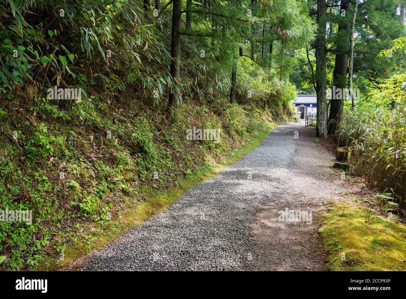 Wakayama, Japan - Koyasan Pilgrimage Routes - Nyonin-michi Pilgrimage ...