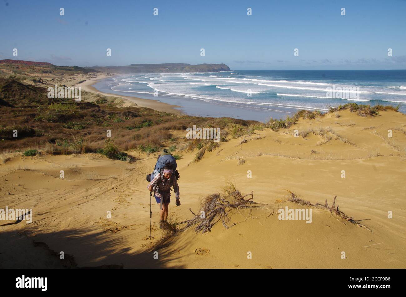 Te Araroa Trail route. North Island. New Zealand Stock Photo - Alamy