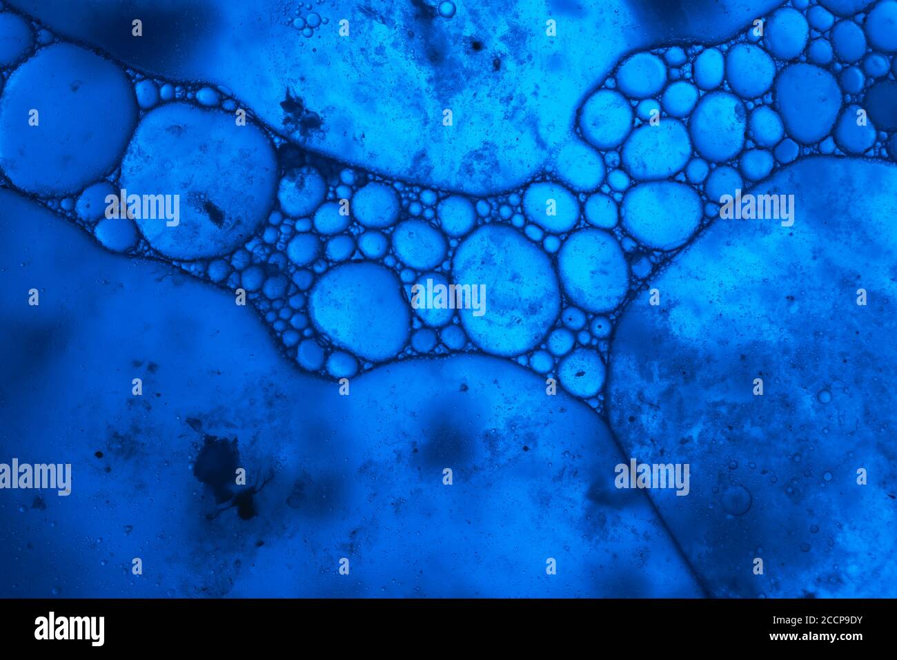 Beautiful abstraction phantom blue color light water. Background ...