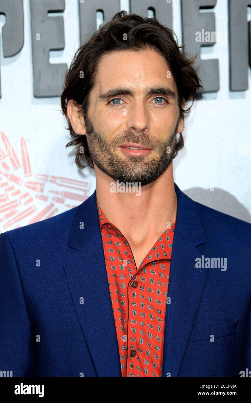 LOS ANGELES - AUG 28: Tyson Ritter at the Peppermint World Premiere at ...