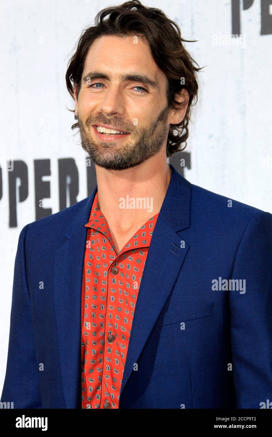 LOS ANGELES - AUG 28: Tyson Ritter at the Peppermint World Premiere at ...