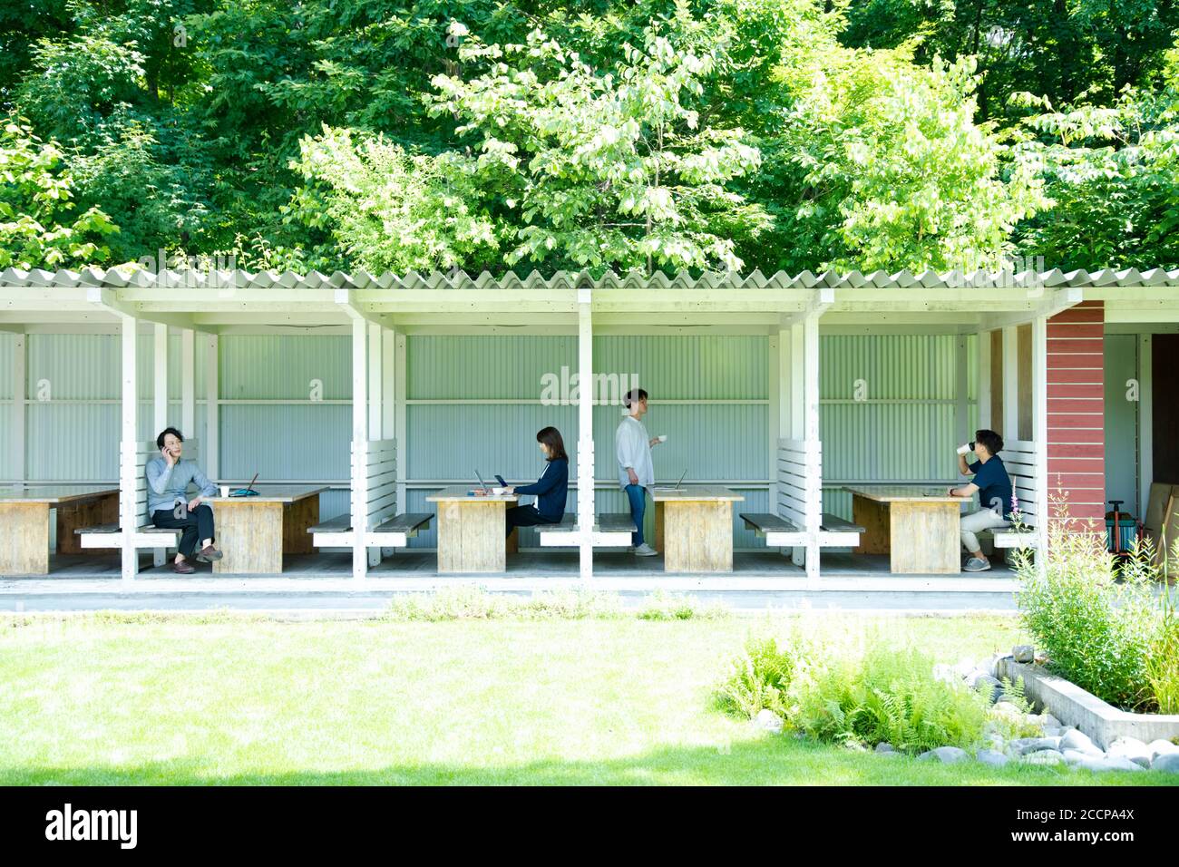 Men and woman are Working on an Outdoor Office that Set Social ...