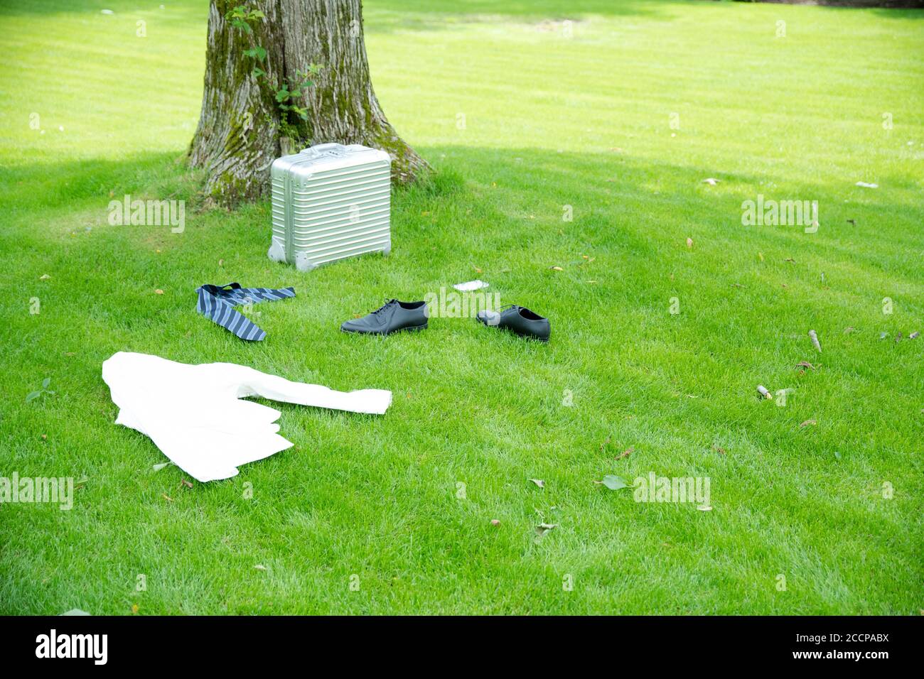 Shuffled hi-res stock photography and images - Alamy