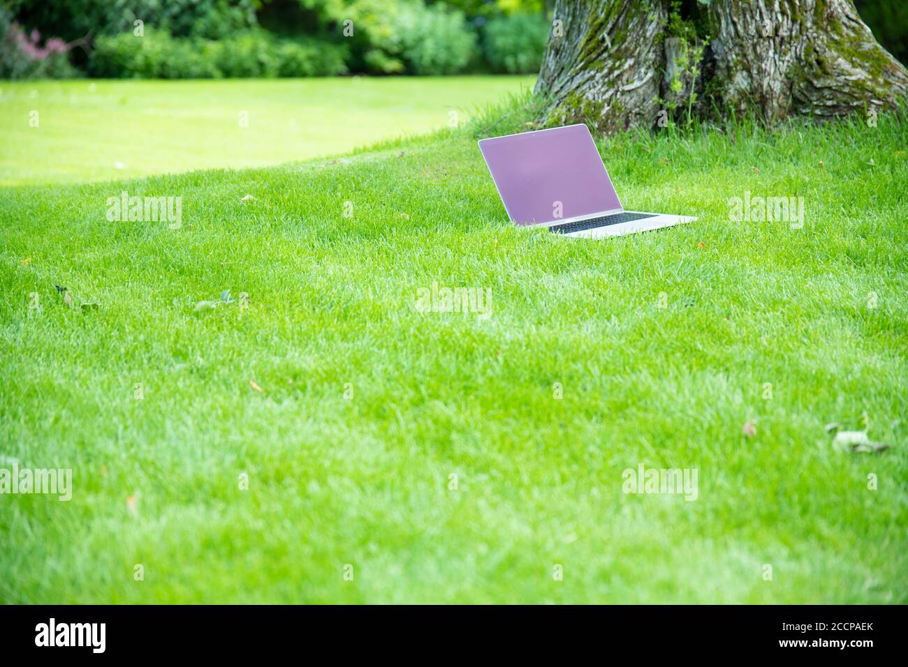 Laptop Computer on the Lawn Stock Photo - Alamy