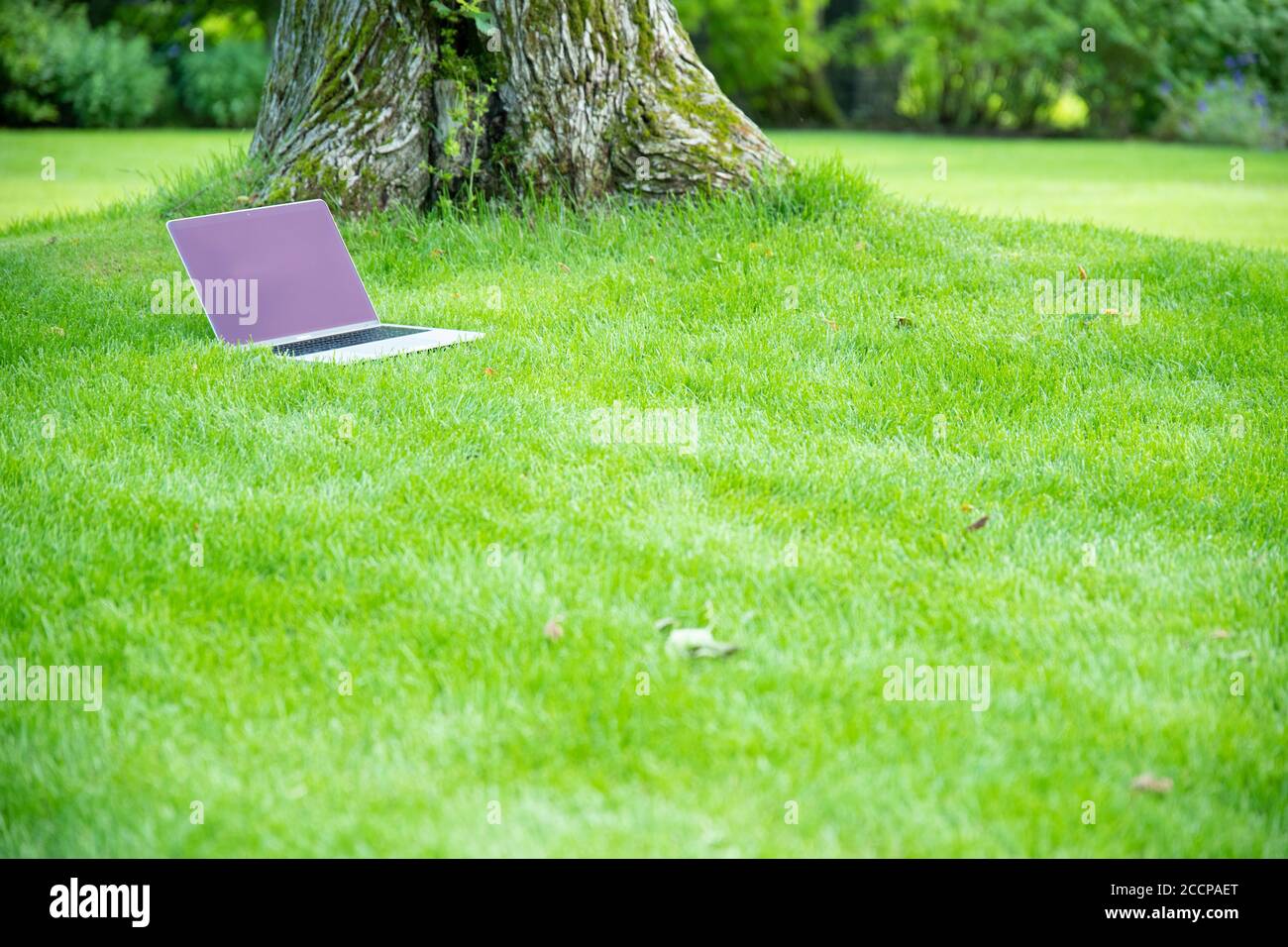 Laptop Computer on the Lawn Stock Photo - Alamy