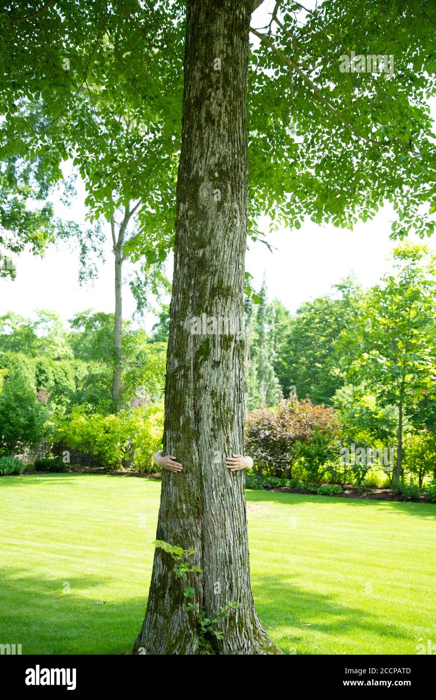 Mature Woman Hugging to the Tree Stock Photo - Alamy