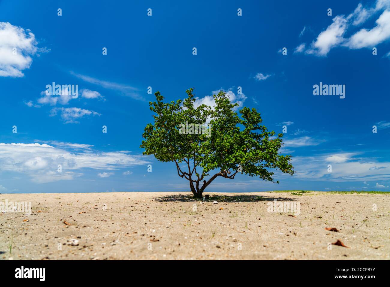 Jerman beach in Bali indonesia Stock Photo - Alamy