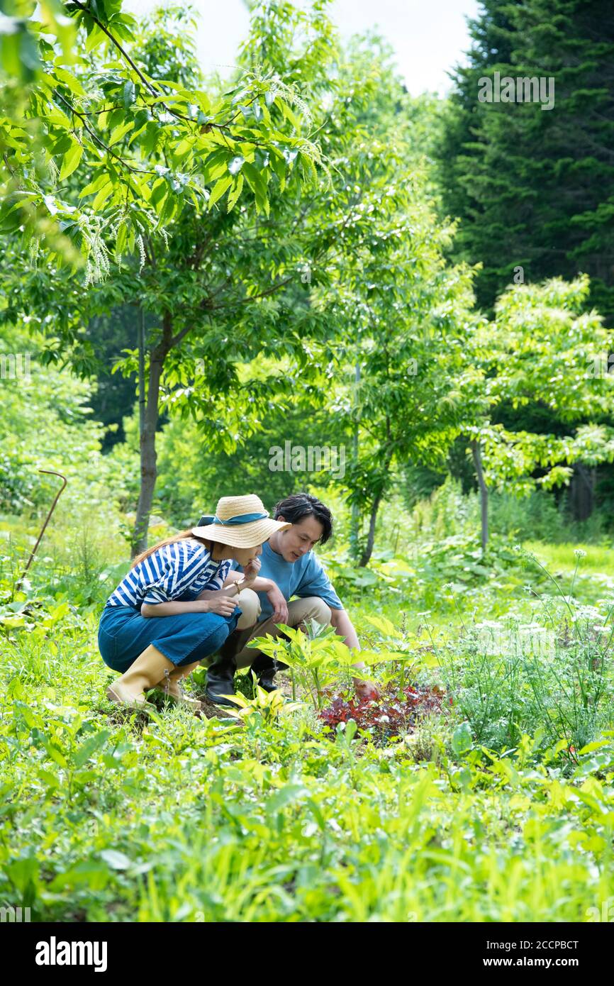 Rural japanese living hi-res stock photography and images - Alamy