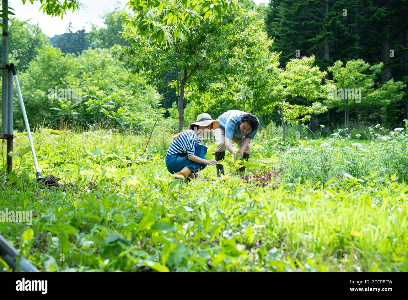 Rural japanese living hi-res stock photography and images - Alamy