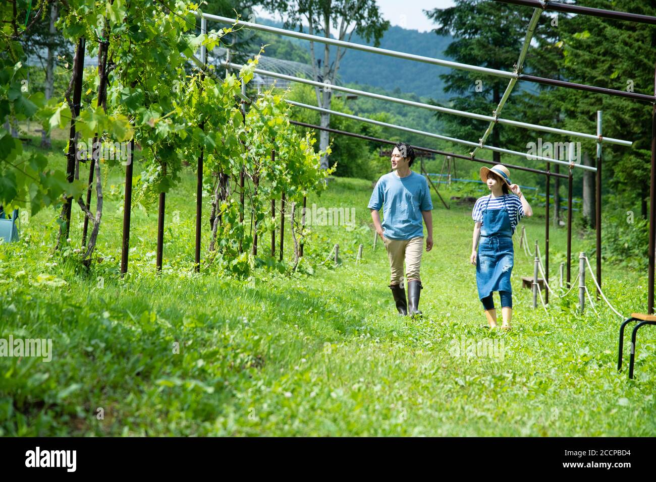 Mature couple walk country hi-res stock photography and images - Alamy