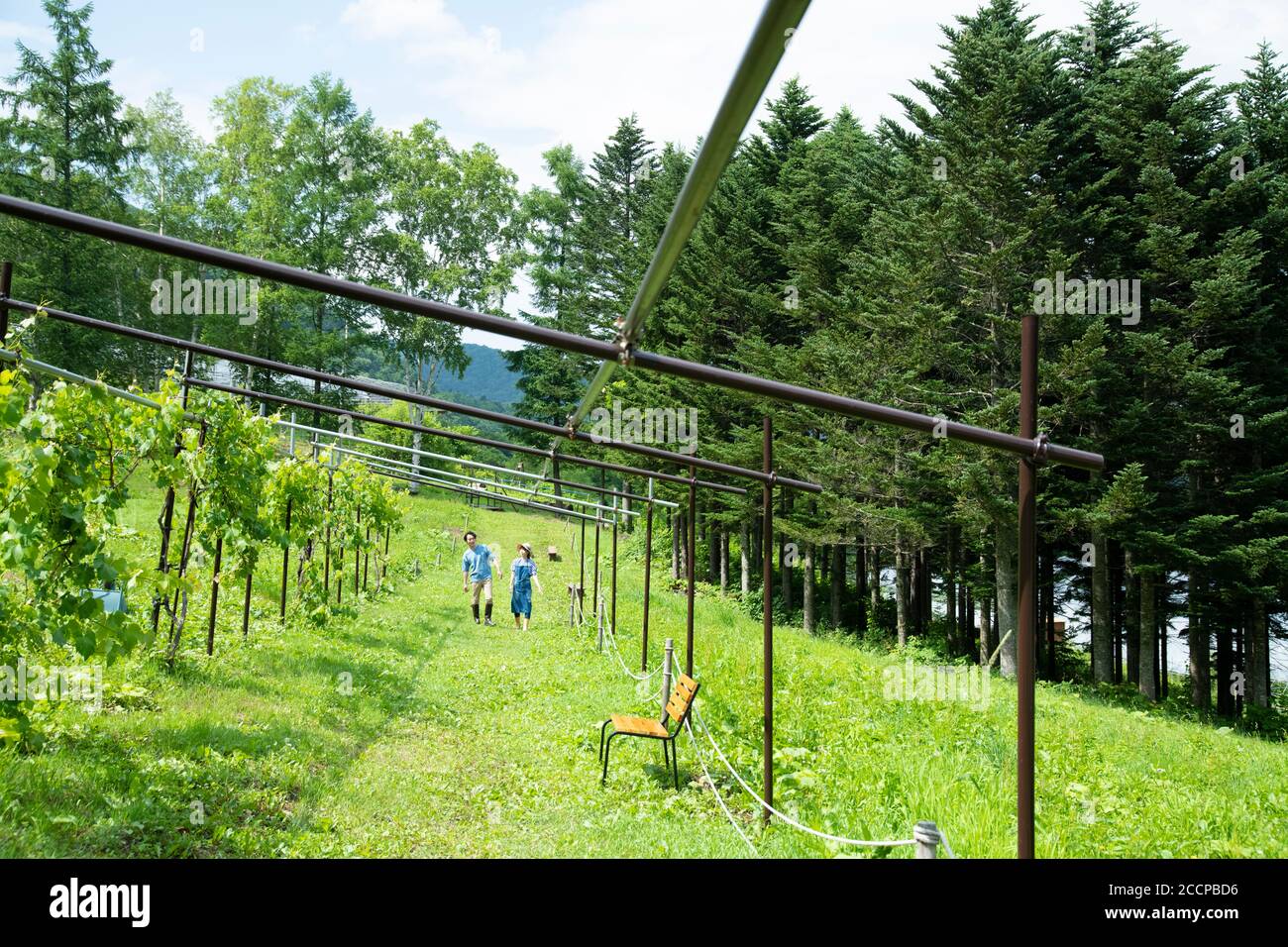 Farm woman walking in apron hi-res stock photography and images - Alamy