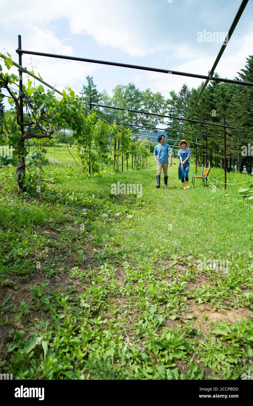 Mature woman farmer walking hi-res stock photography and images - Alamy