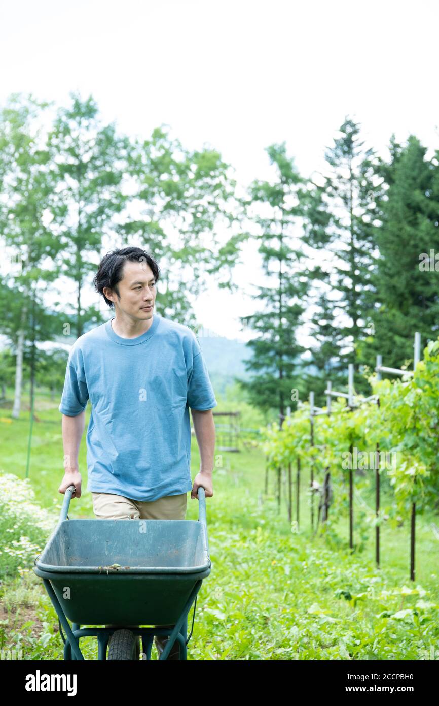 Farming Mature Man Stock Photo - Alamy