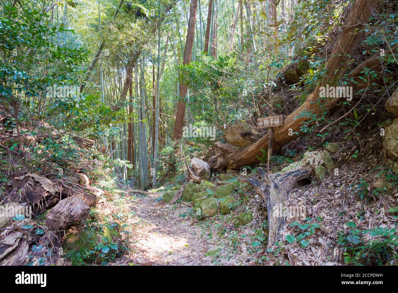 Japan toge road hi-res stock photography and images - Alamy