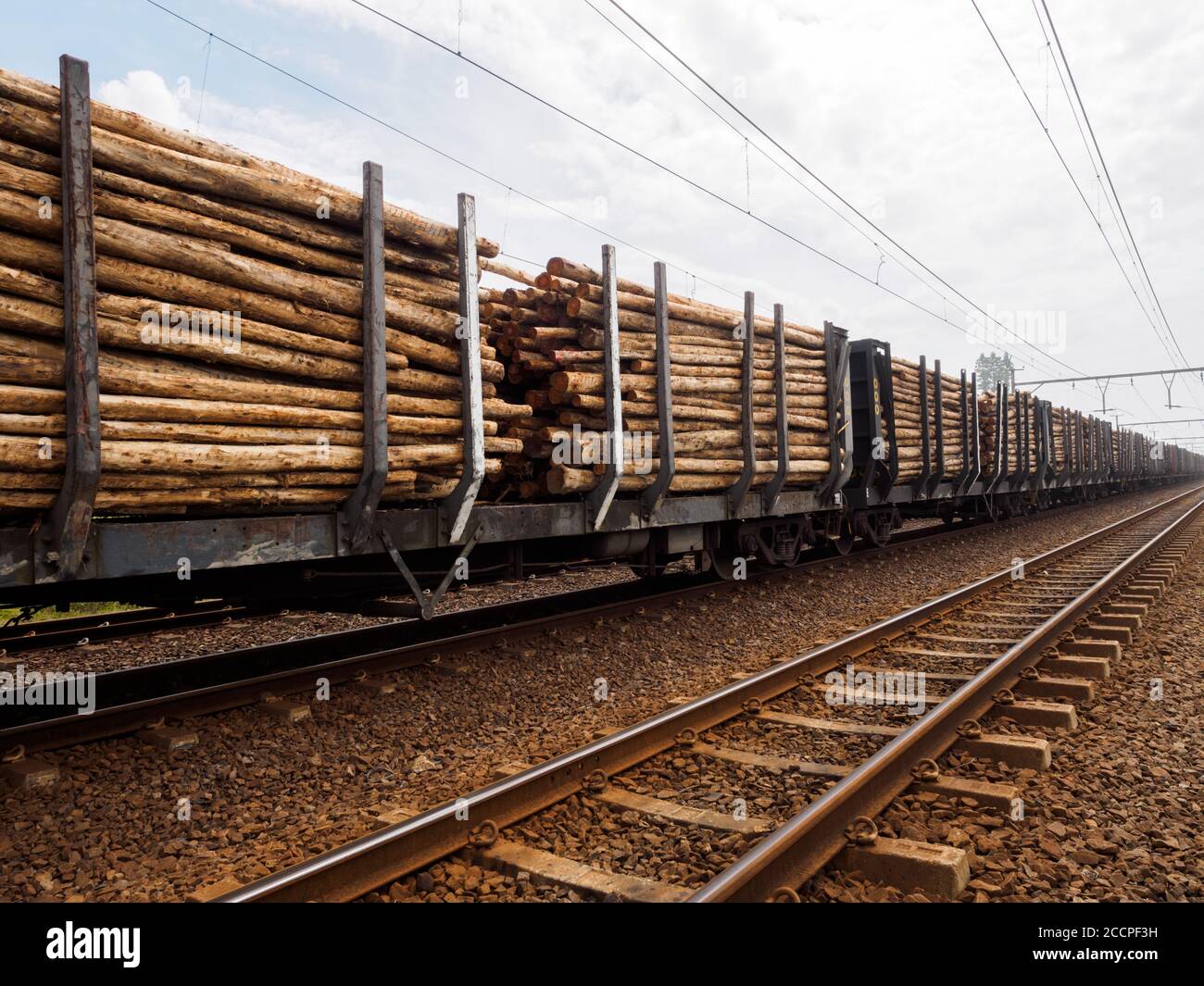 Train trucks on railway line loaded with timber logs ready for ...