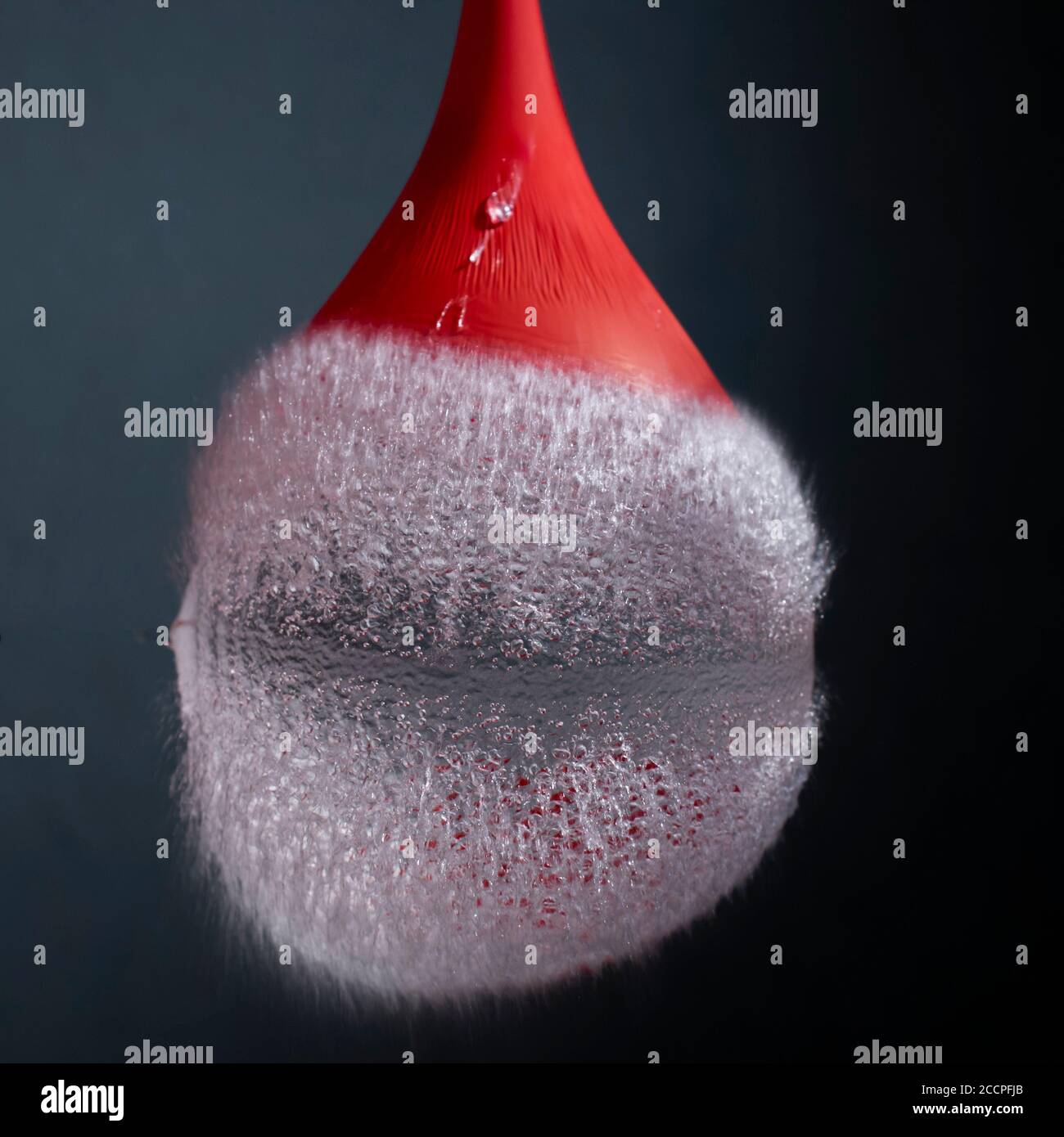 Red water balloon burst hi-res stock photography and images - Alamy
