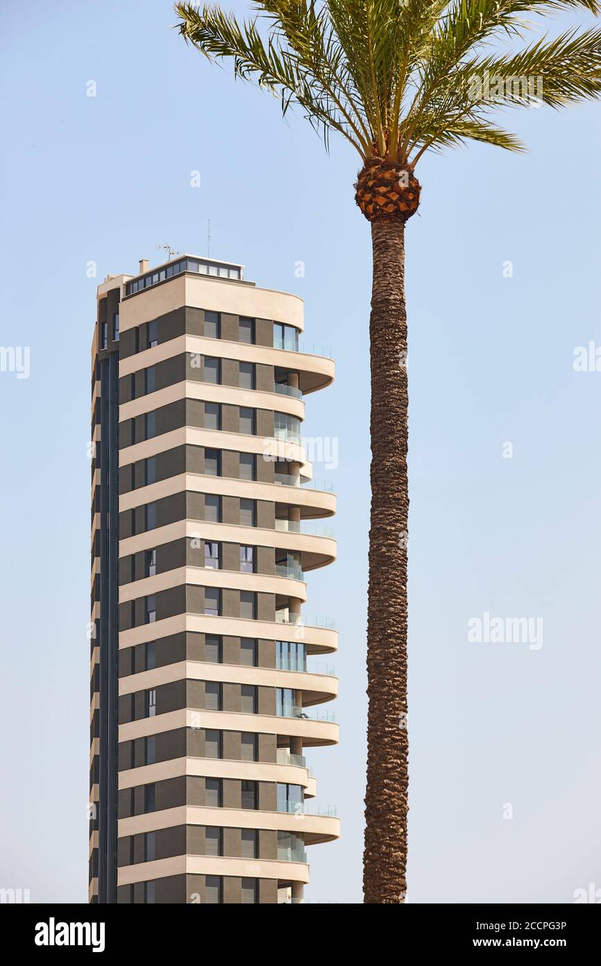Geometric building in black with palm tree. Spain Stock Photo - Alamy