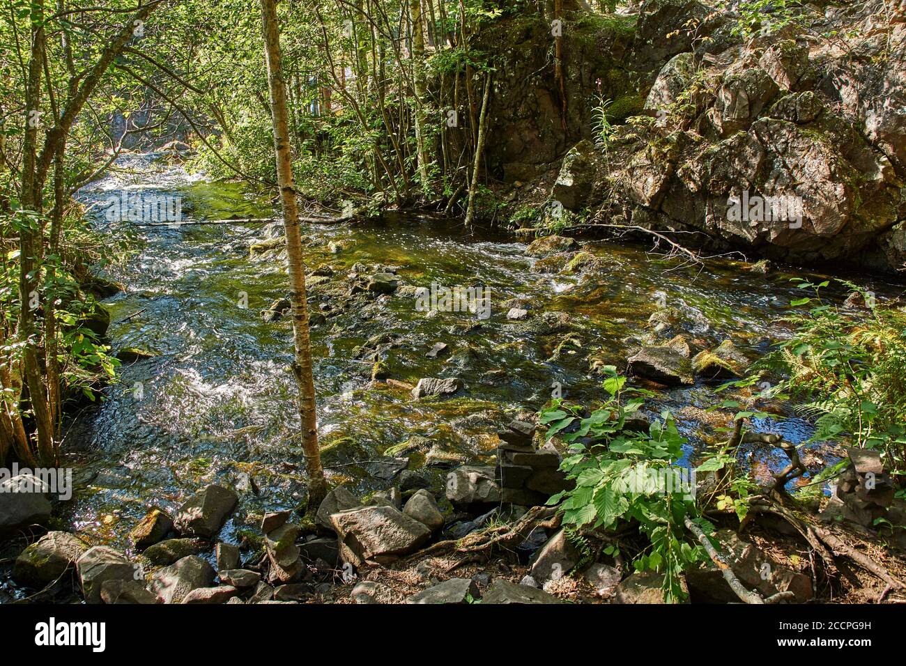 Birch tree lake hi-res stock photography and images - Alamy