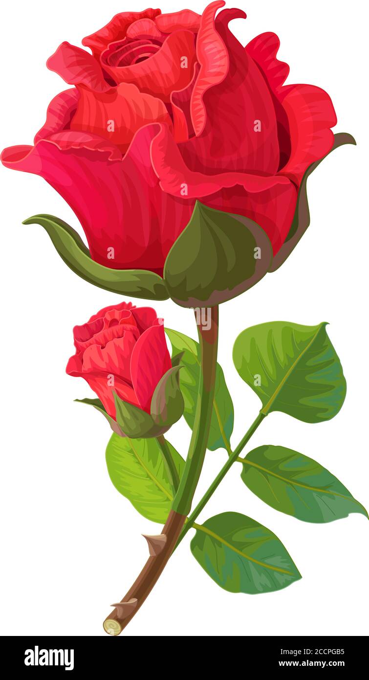 Clipart Flower Rose