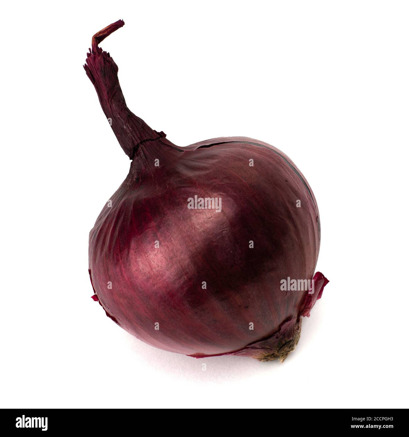 one red onion head isolated on a white background Stock Photo - Alamy