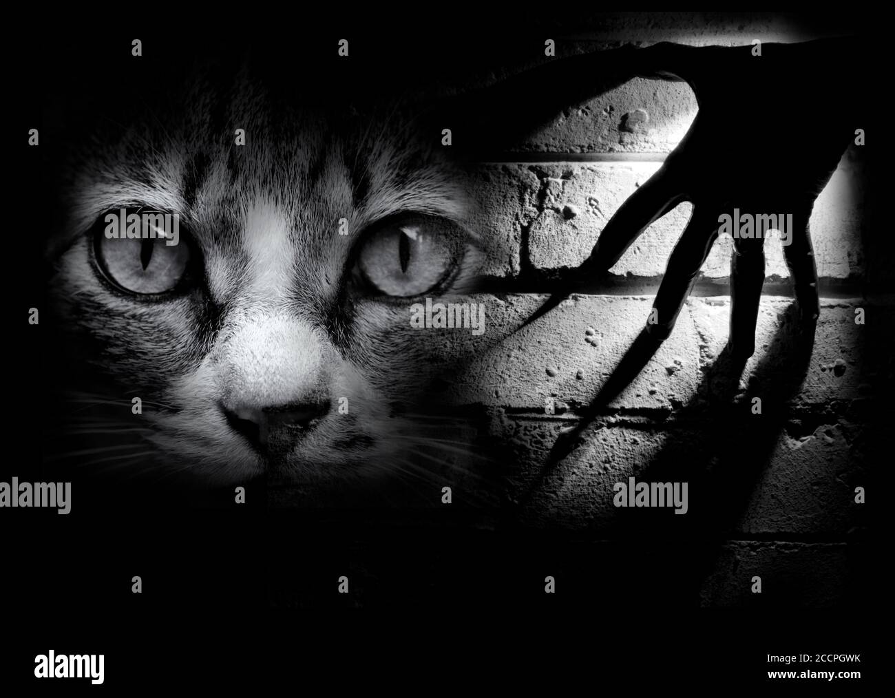 creepy, scary dark shadows of a human hand silhouetted and close up a ...