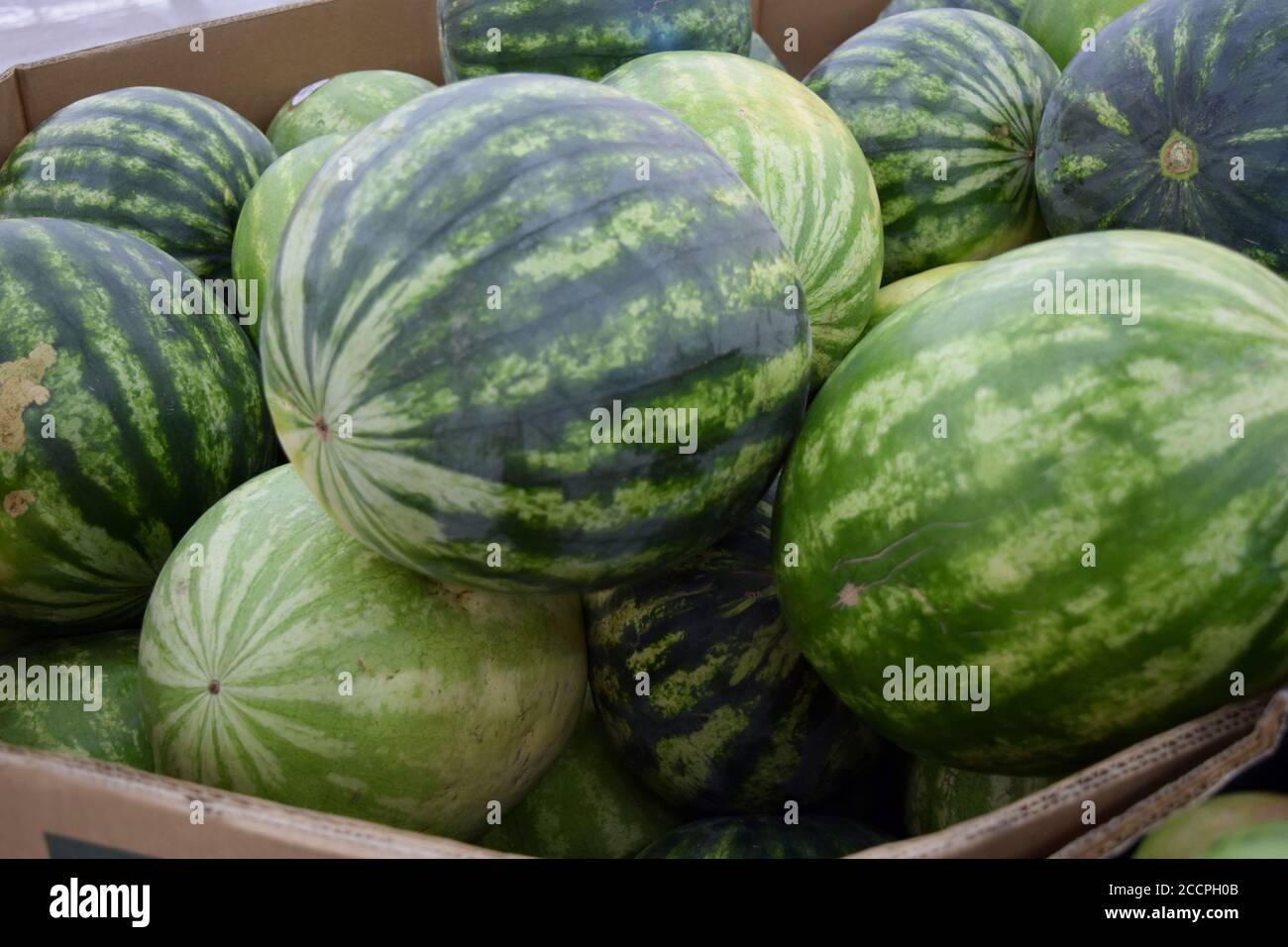 Photo of fresh watermellons in a box hi-res stock photography and ...