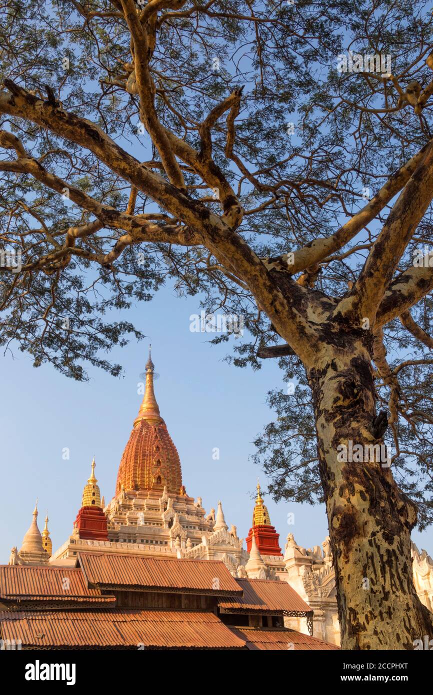 images from Myanmar, Bagan,his temples and pagoda, and the color of ...
