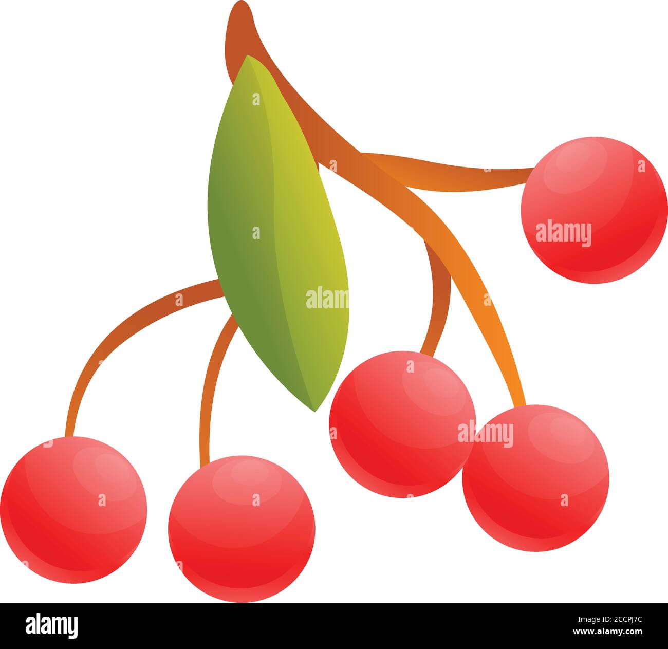 Rowan foliage icon. Cartoon of rowan foliage vector icon for web design ...