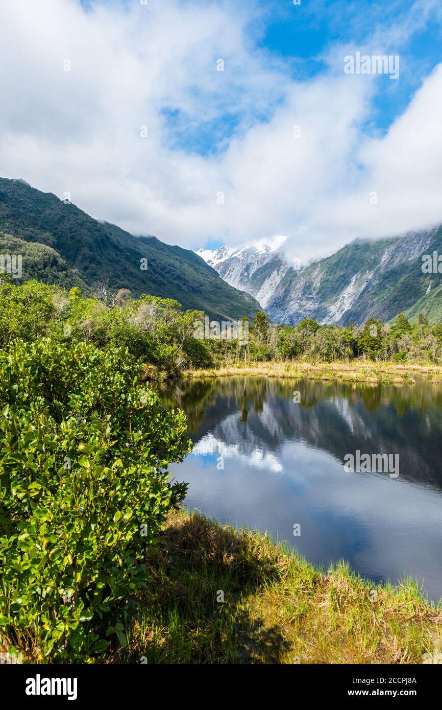 Temperate rainforests hi-res stock photography and images - Alamy