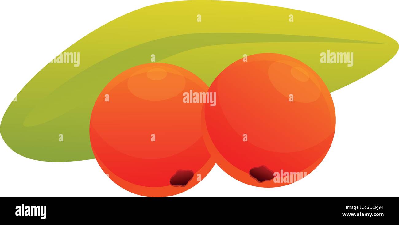 Rowan fresh icon. Cartoon of rowan fresh vector icon for web design ...
