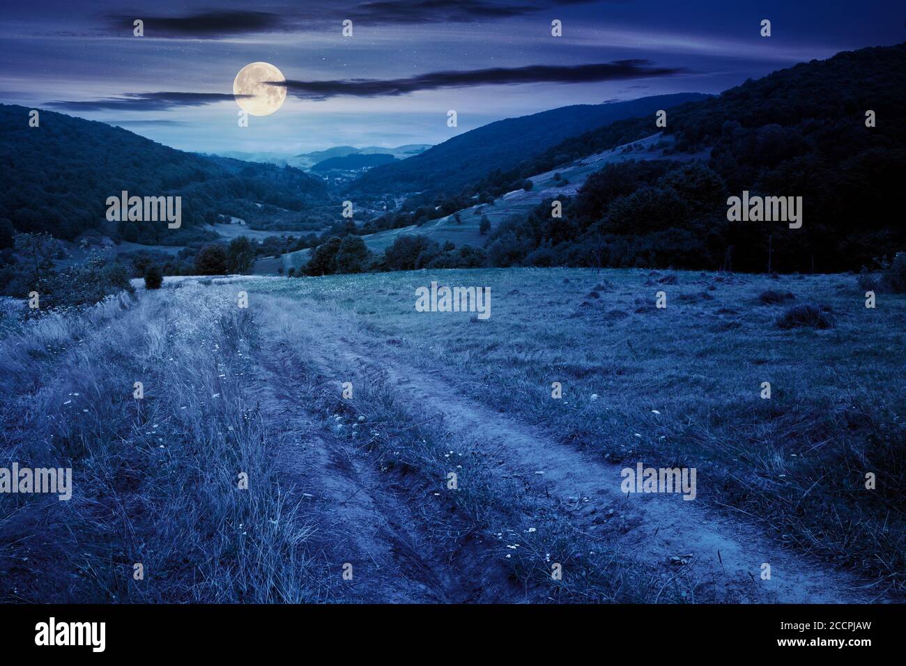 country road through rural field at night. suburban summer landscape in ...