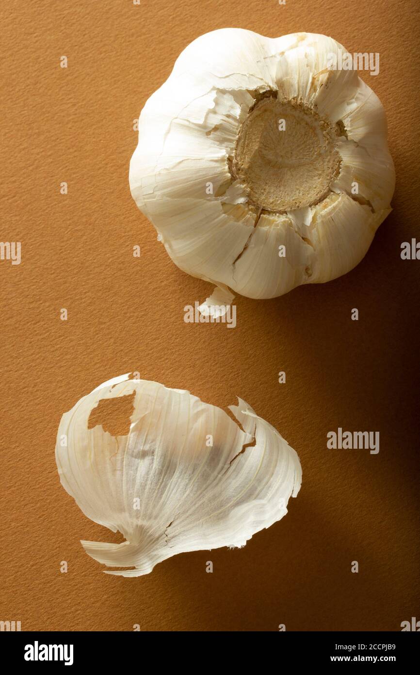a head of garlic and peel Stock Photo - Alamy