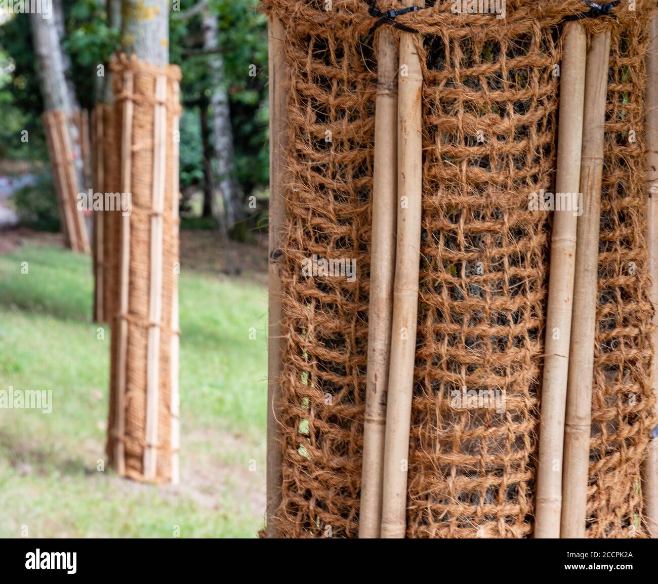 Protection of trees on a construction site Stock Photo - Alamy